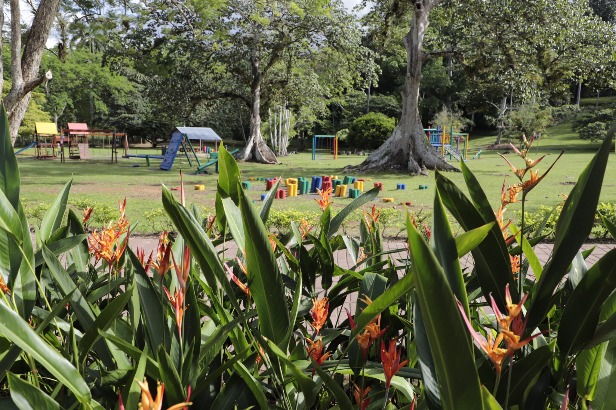 Quiénes Somos – Parque SUMMIT